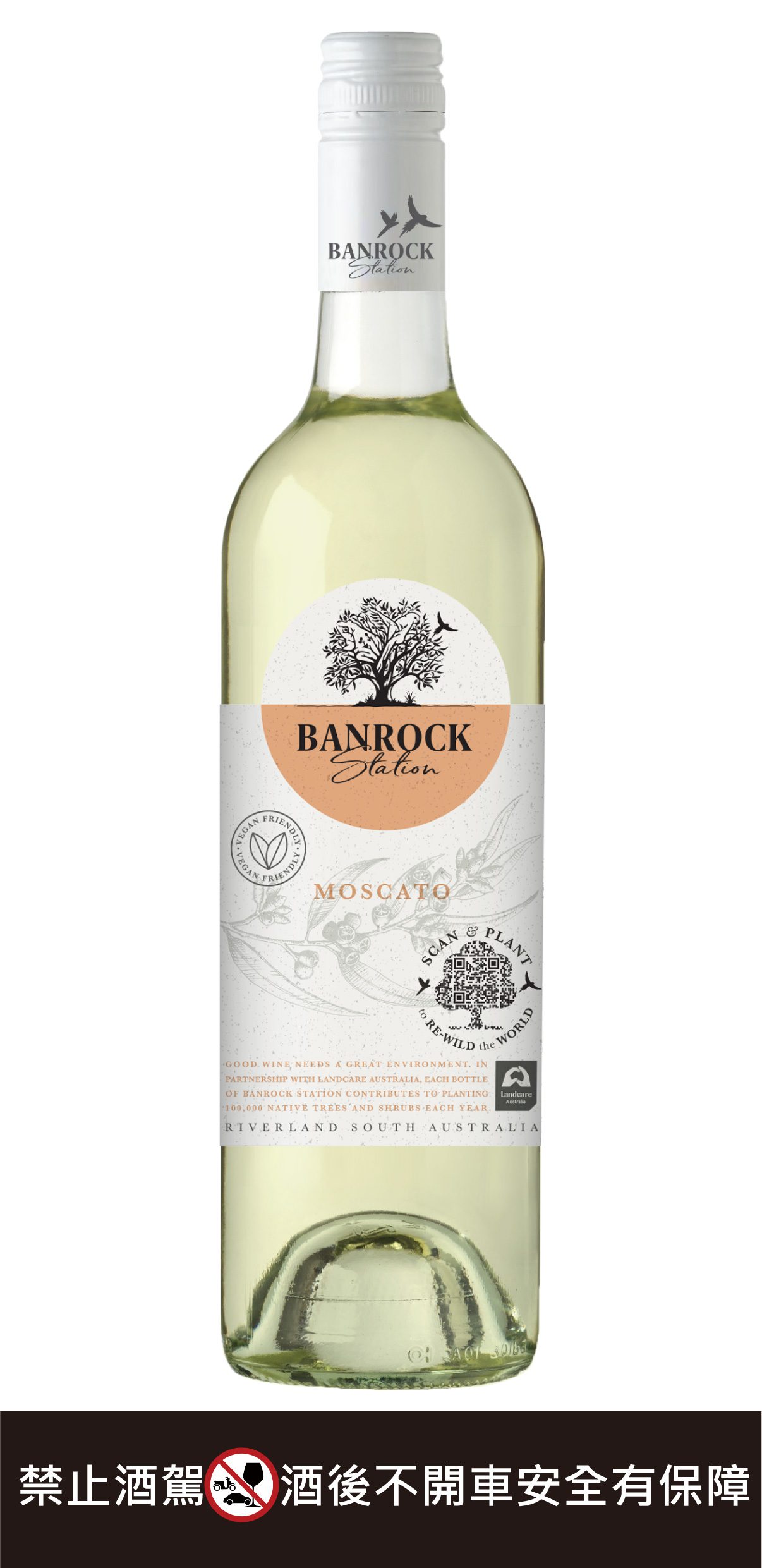 致力發展環境永續！Banrock Station班洛克葡萄酒堅持Every Drop Matters